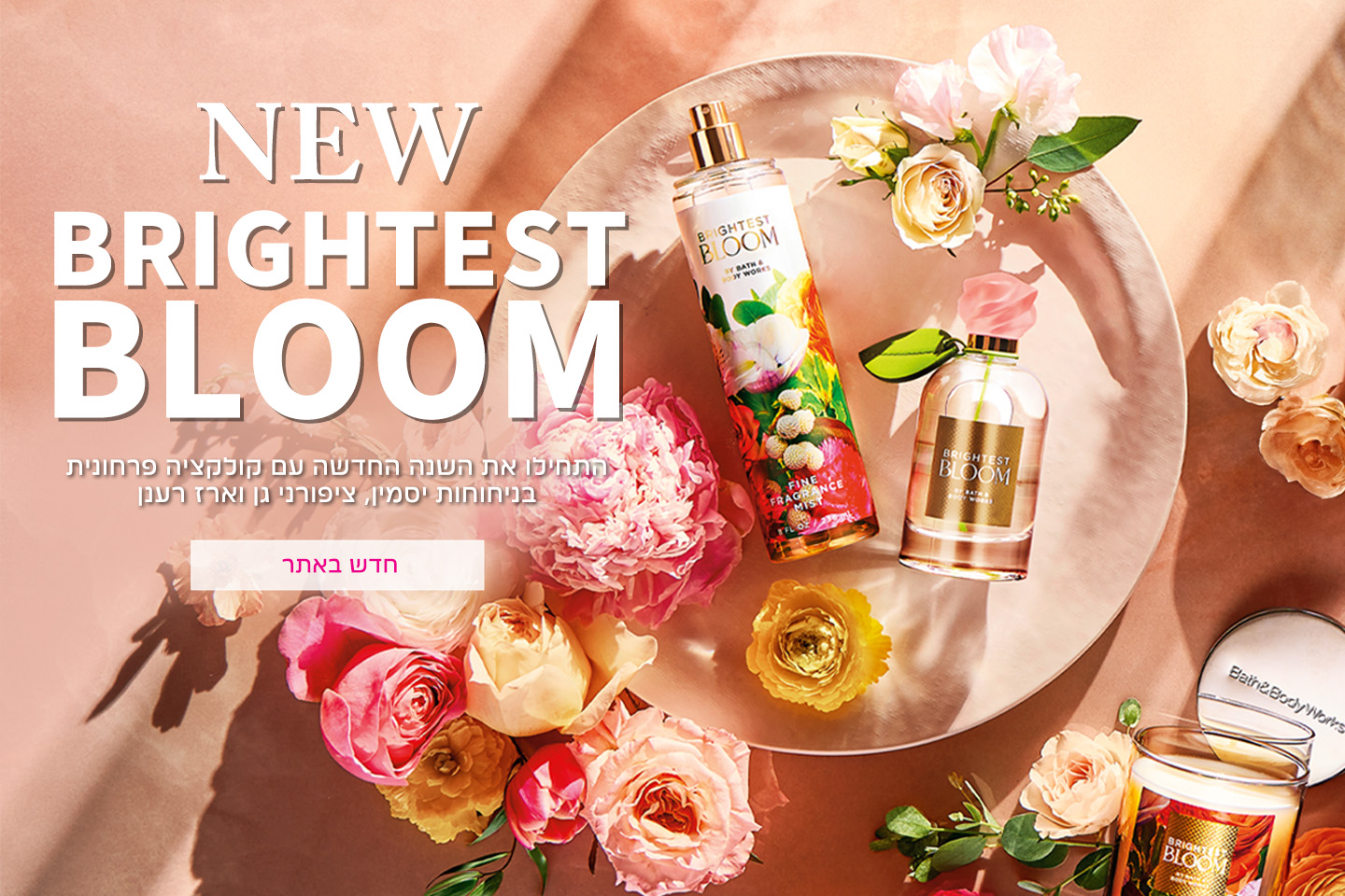 טיפוח הגוף - מגוון מוצרים | Bath and Body Works ישראל